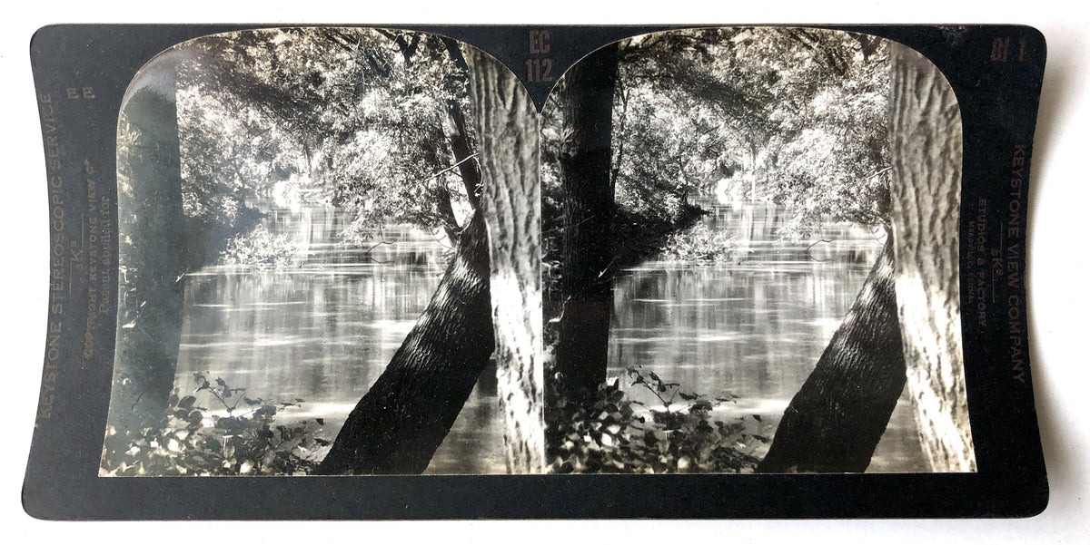 Keystone Eye Comfort and Depth-Perception Series E.C. 112-33293: A Pea ...